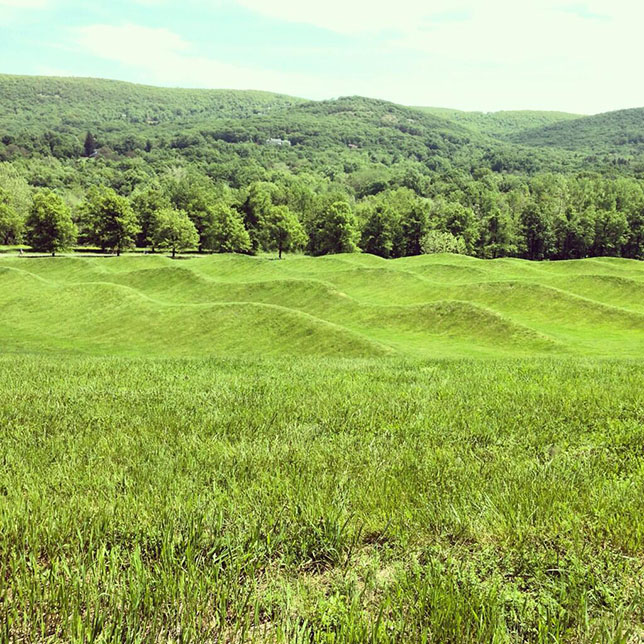 Artist of the day: Artist of the day, September 20: Maya Lin, American ...