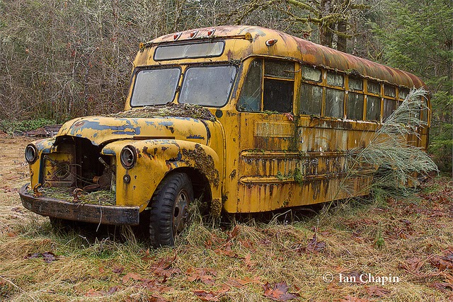 Love That Max : School bus service for kids with special needs and ...