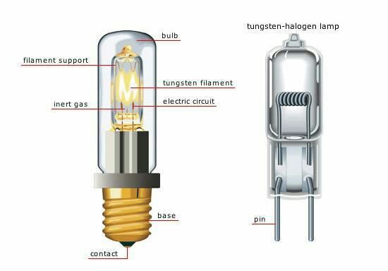 Electrical and Electronics Engineering: Construction of screw type bulb!!!