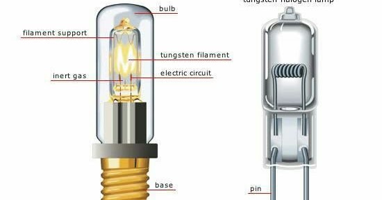 Electrical and Electronics Engineering: Construction of screw type bulb!!!