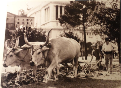 Rome the Second Time: Cows first, then Sheep: Rome trims up its Parks