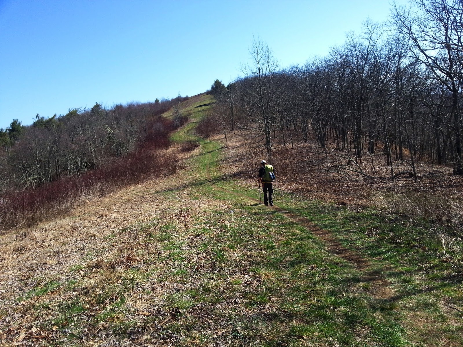 Smoky Scout's Hiking Adventures: AT in TN: Beauty Spot & Unaka Mountain