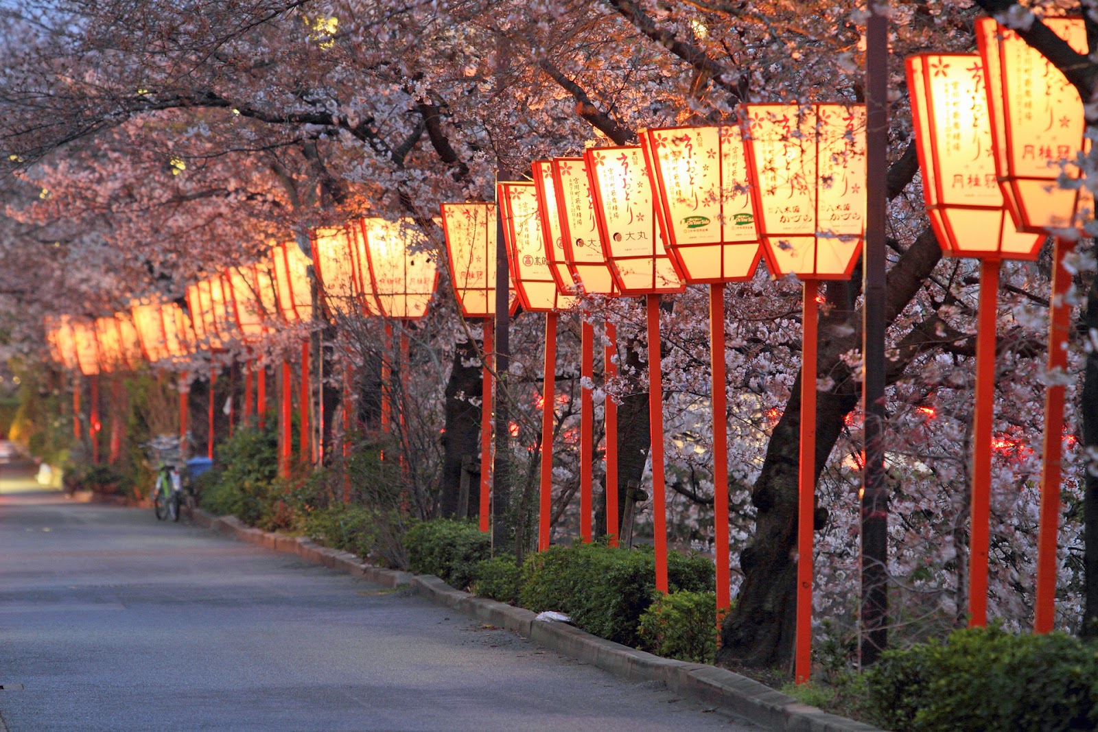 Yusuke Japan Blog: Tourou (Japanese lantern)