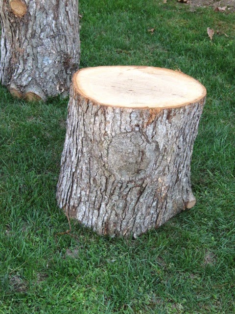 Sew Many Ways...: Turn Tree Stumps Into Fire Pit Seating...