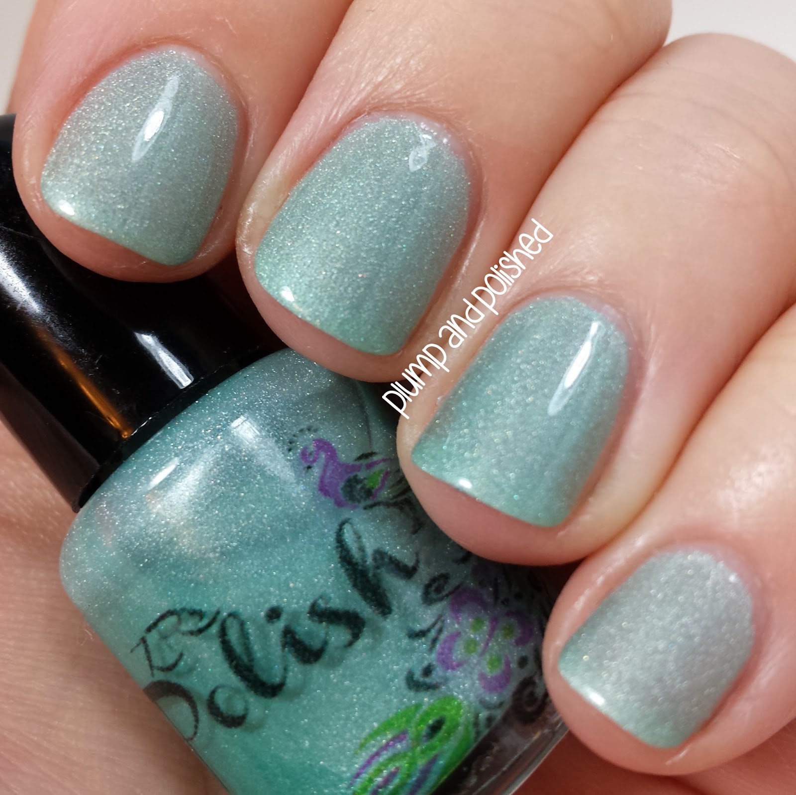 Plump and Polished: ZR's Polish - Ashley Holo Collection