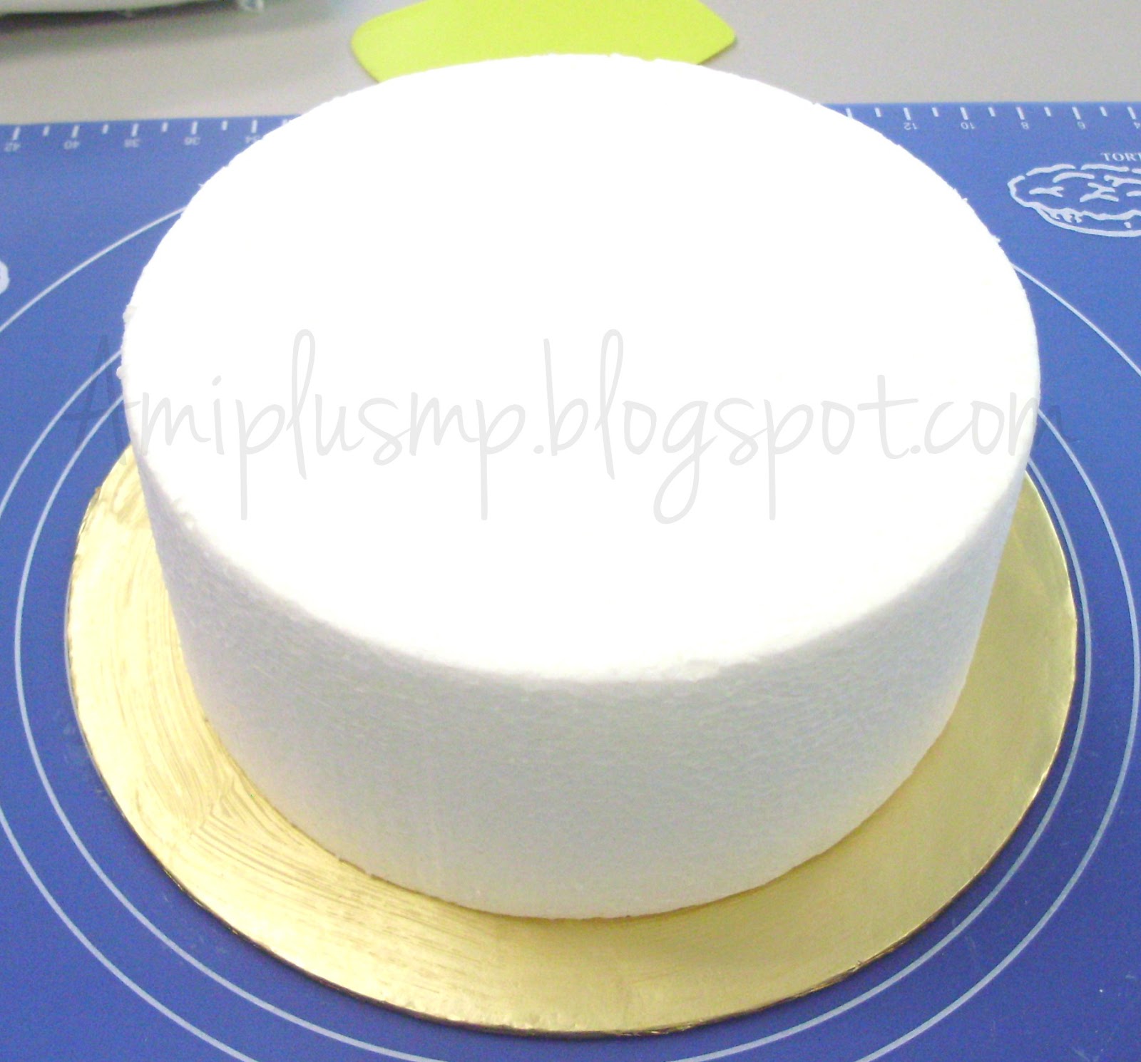 Amiplus Sdn.Bhd: Fondant Dummy Cake Class