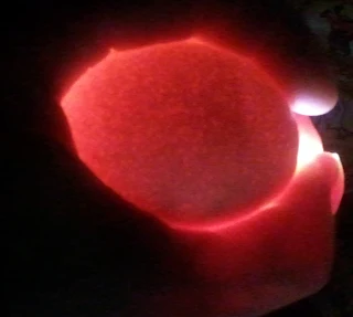 Let's Hatch Chicks! A Day-by-Day Egg Hatching Tutorial - Fresh Eggs ...