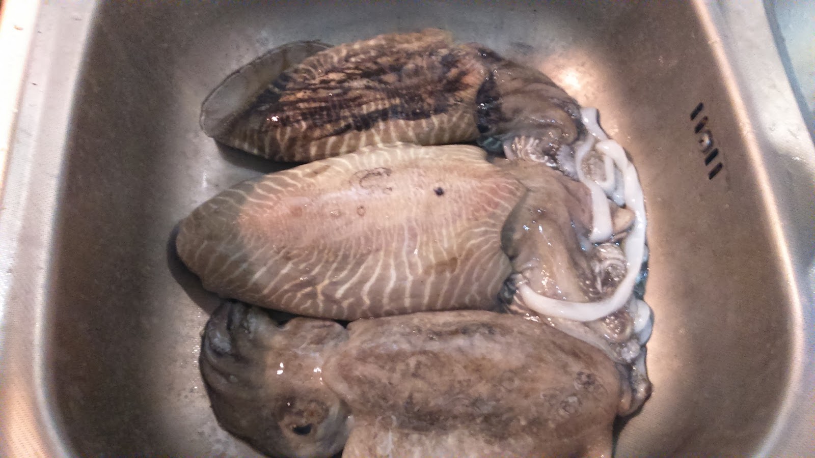 Dá-lhe linha!: Tutorial - Choco Frito para totós