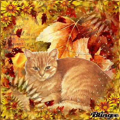 All About Lacocoon Dante: DANTE: CALENDAR BOY FOR OCTOBER