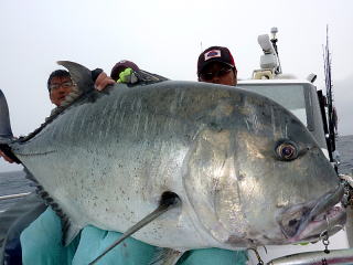 AGX PELAREEF: 2017 : Info on Carpenter Coral Viper series: CV79/35 and ...