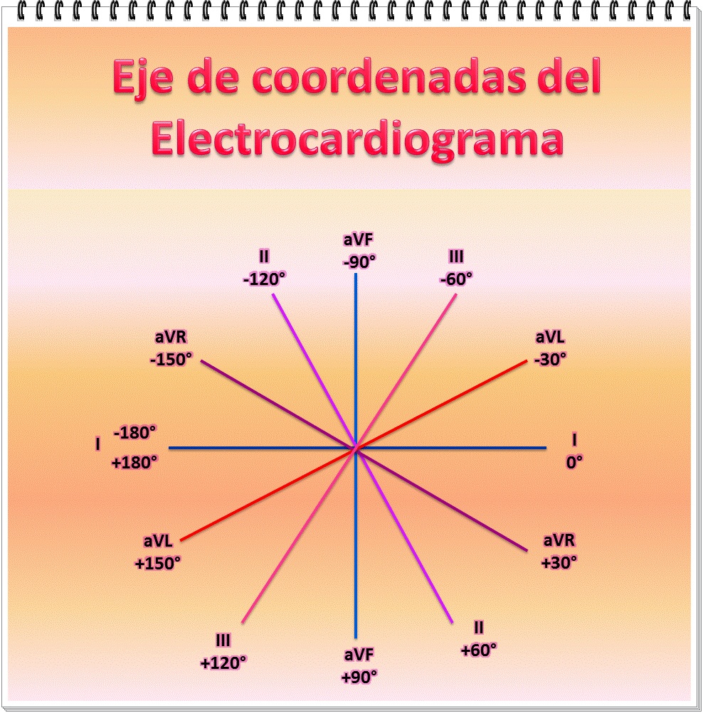 Fisiología humana: "Eje de coordenadas del electrocardiograma (EKG)"