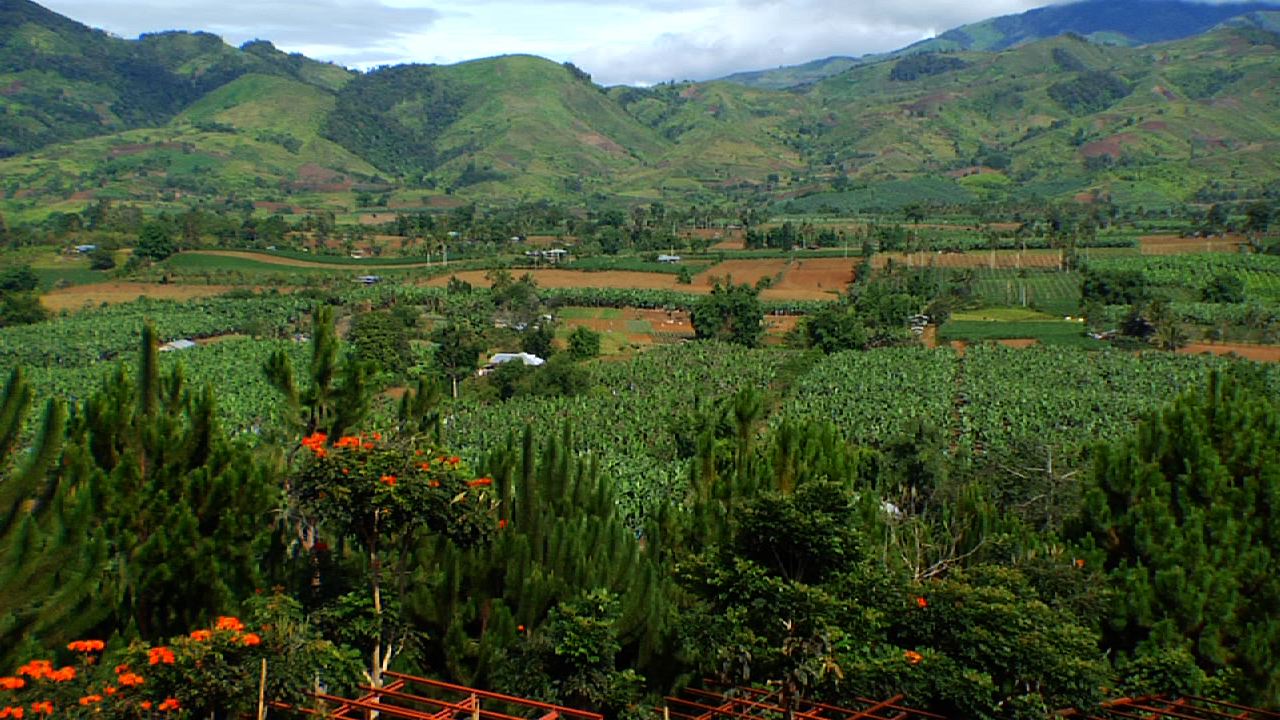 I Love my Digos City!