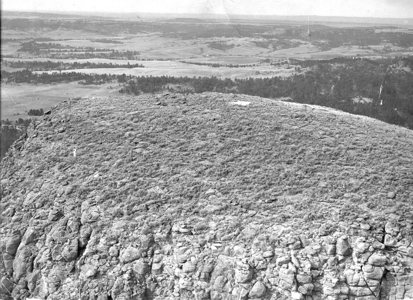 In the Company of Plants and Rocks: Devils Tower—What’s on Top? (updated)