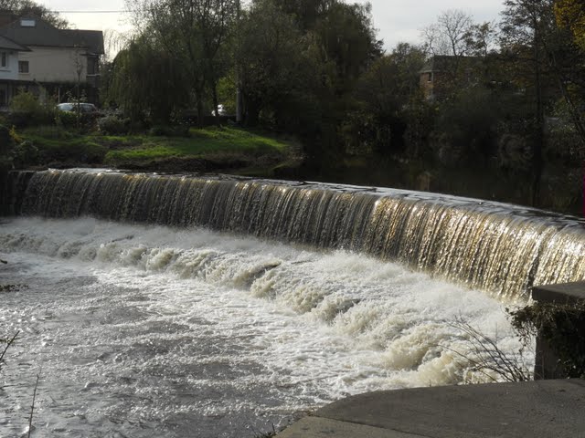 Let's Walk the River Dodder, One of the Best Hikes in Dublin