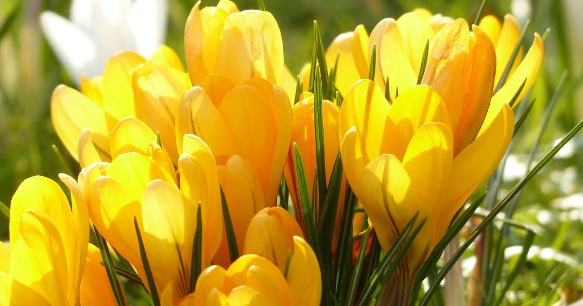 Viaţa în Sine: Iluzia şi realitatea iubirii