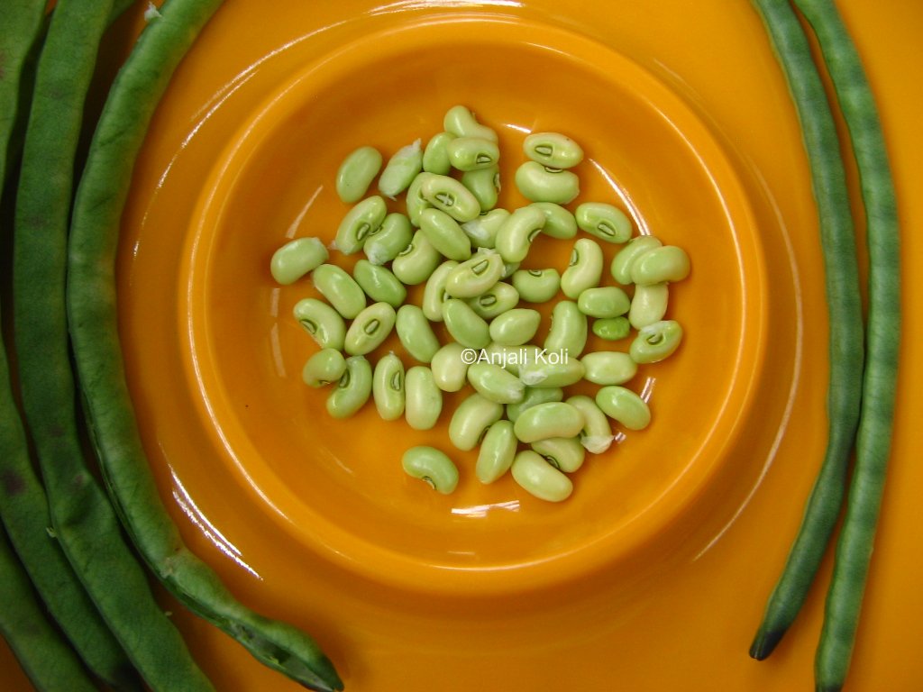 AnnaParabrahma: Growing Chavali