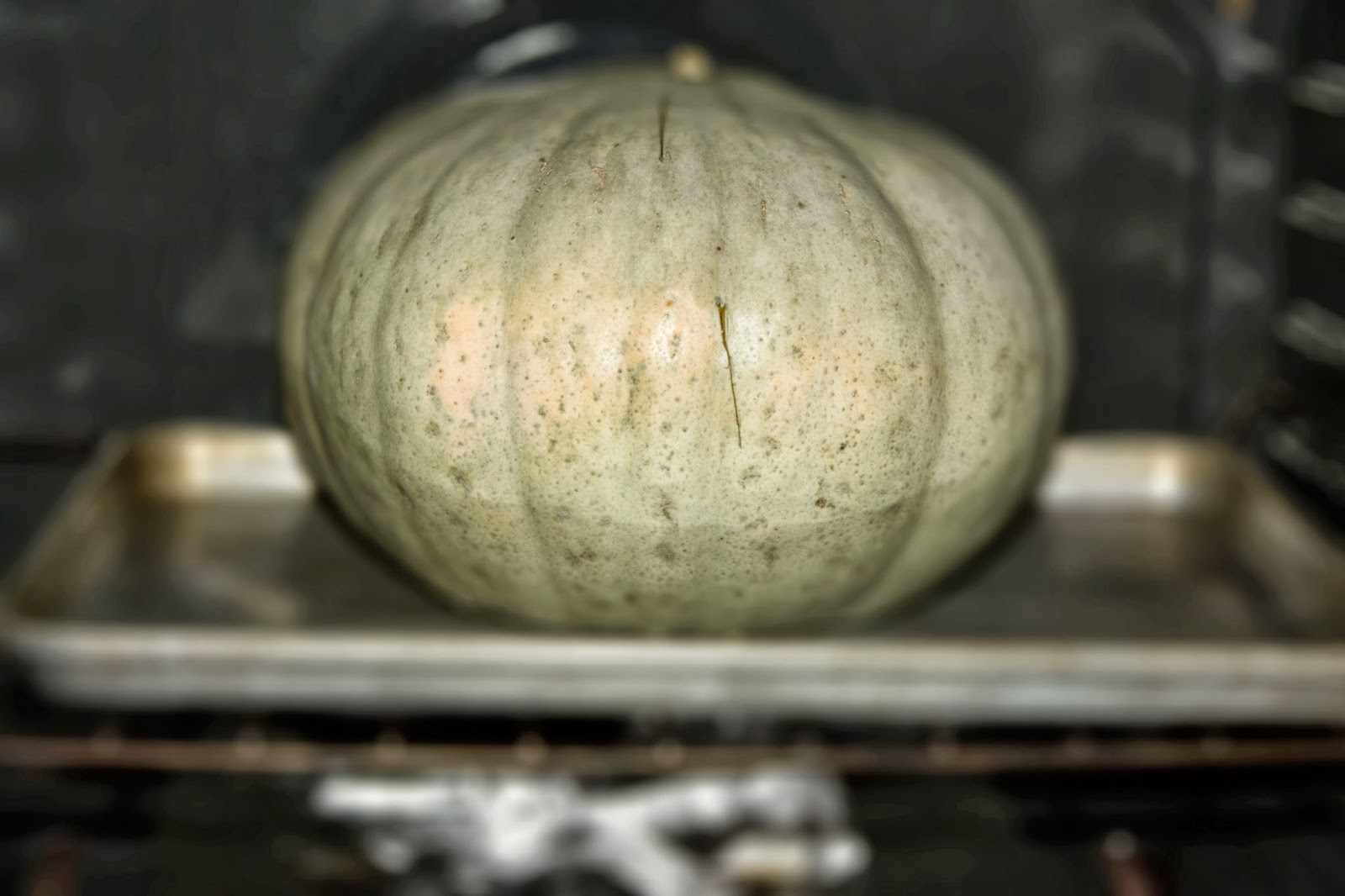 Crazy Cheap Cooking: Cooking The Pumpkin Whole...Or A Really Large Squash