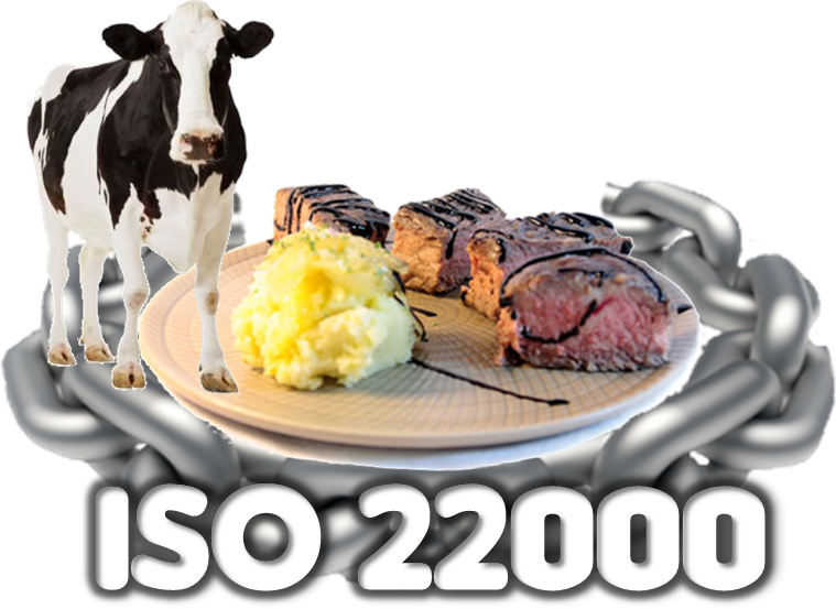 Requisitos generales - Norma GMP B2