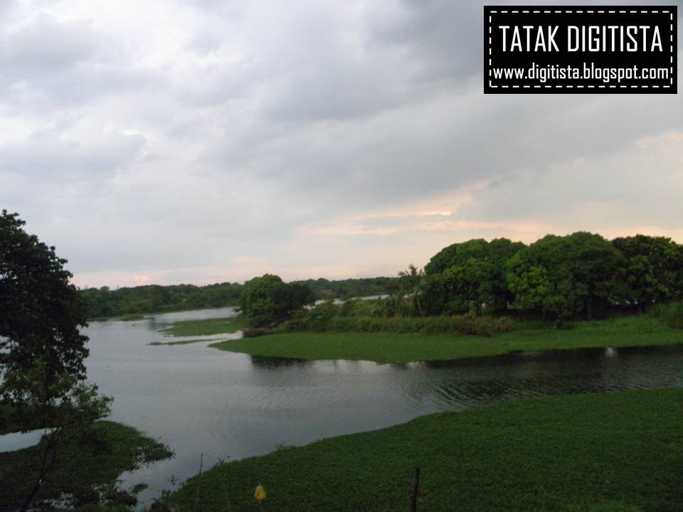 foydi finds: Stored Treasure: Wowed by the Carabaos! -- The Pulilan ...