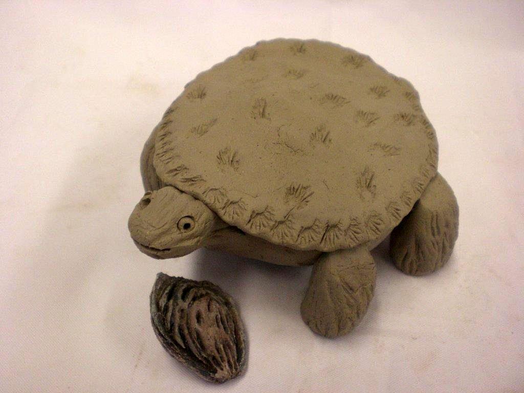 Oogly: A Box Turtle That's Really a Box