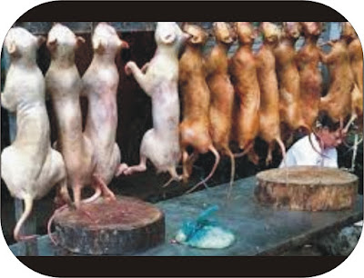Dog meat sellers in Bauchi State of Nigeria, said the business is a ...