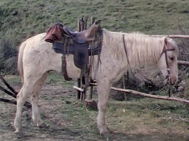 Tumbleweed (Universal, 1953) – Jeff Arnold’s West