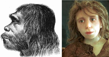 MU-Peter: Humanderthal