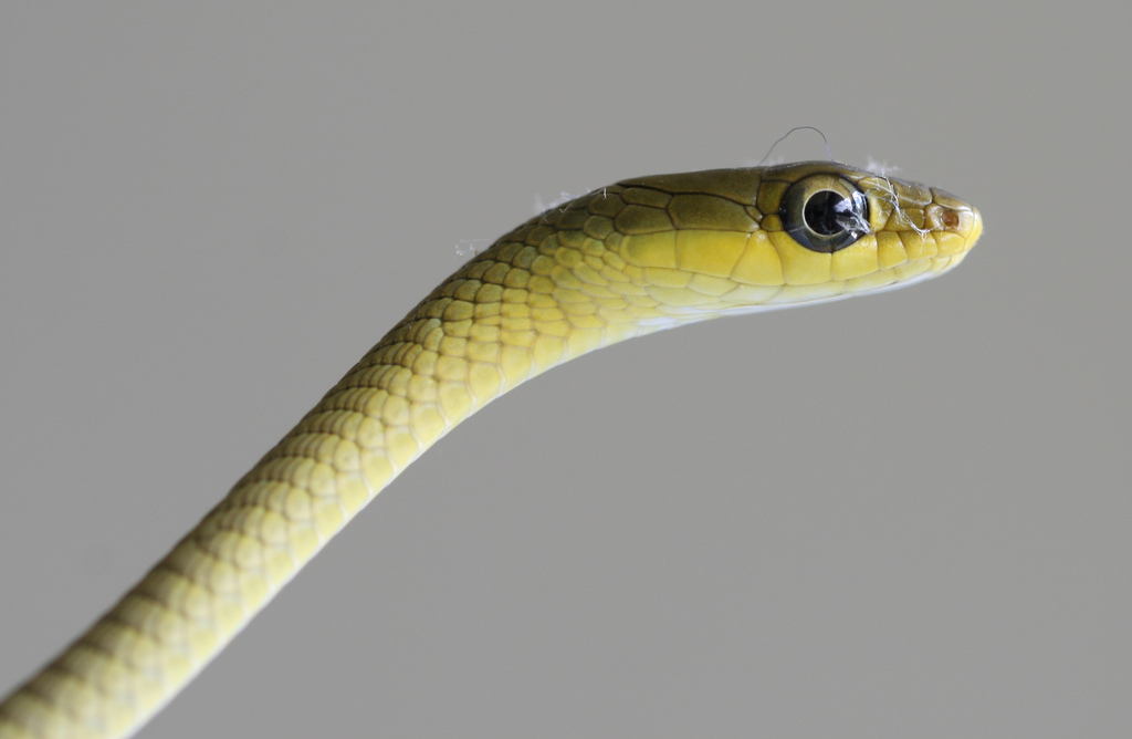 Landzee: Werkstukken