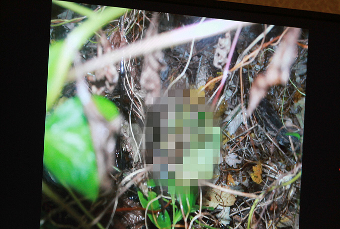 Anything about Everything: Caylee's skull and other pictures are shown