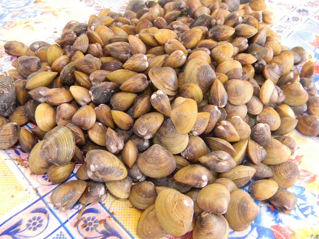 Cuti-cuti Kelantan: Etok salai