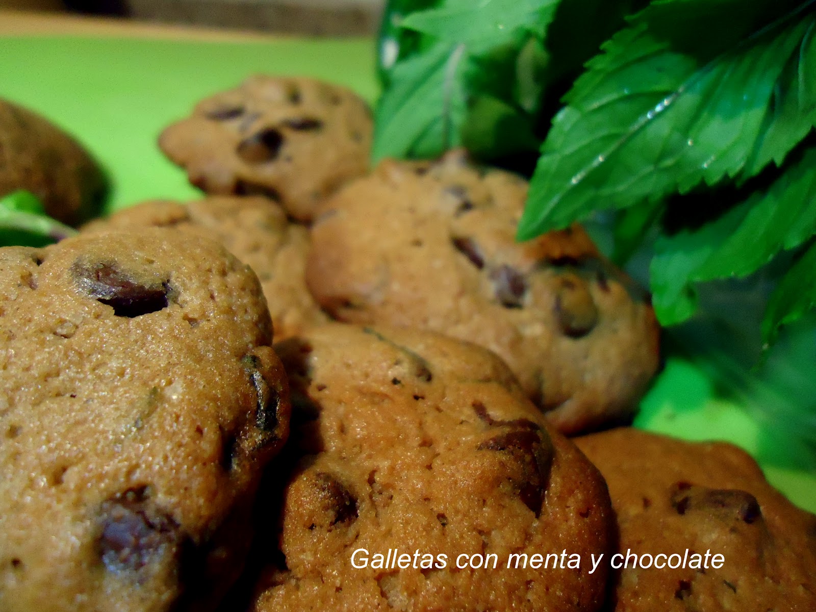 OVEJAQUEBALABOCADOQUEPIERDE: GALLETAS de MENTA y CHOCOLATE
