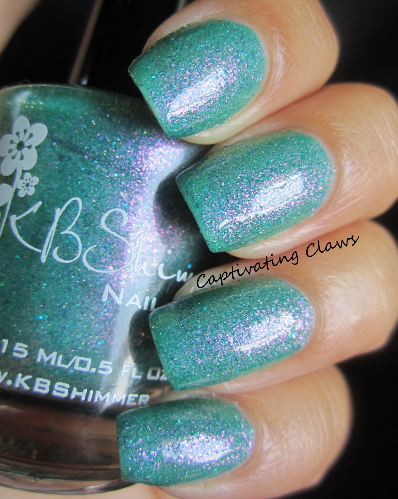 Captivating Claws: KBShimmer Fall Collection 2013