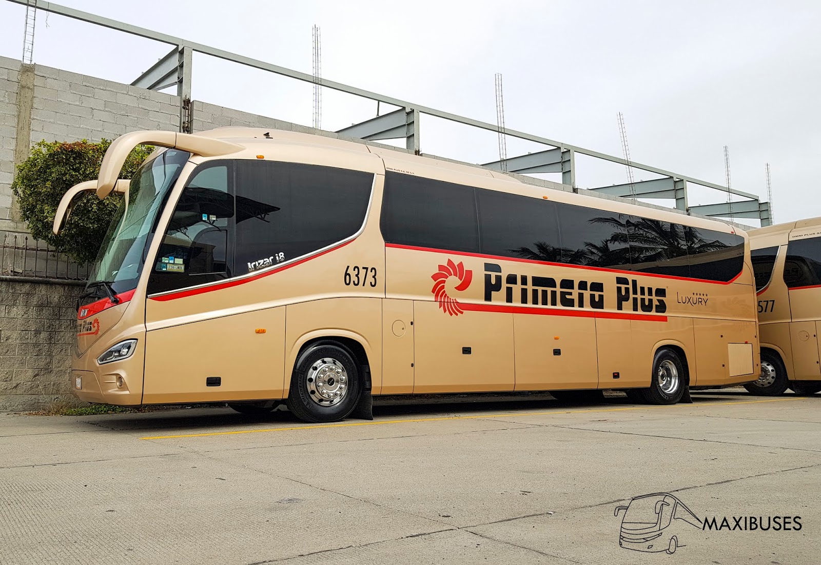MAXIBUSES: PRIMERA PLUS