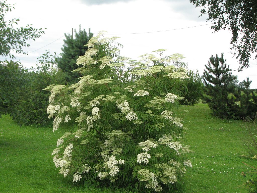 kahe valla piiri peal: sain pildimajanduse joonele...