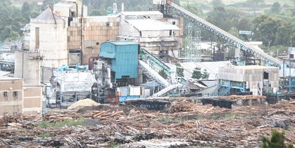 +Ke: PanPaper mills at Webuye ready for reopening in November