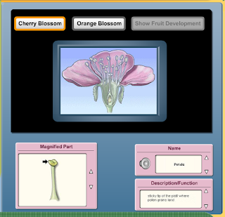 7th Grade Science 2015-2016: Interactive Flower Dissection Lab.