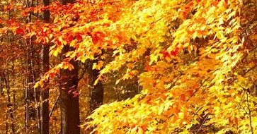 Best of the best: Awesome Photography!