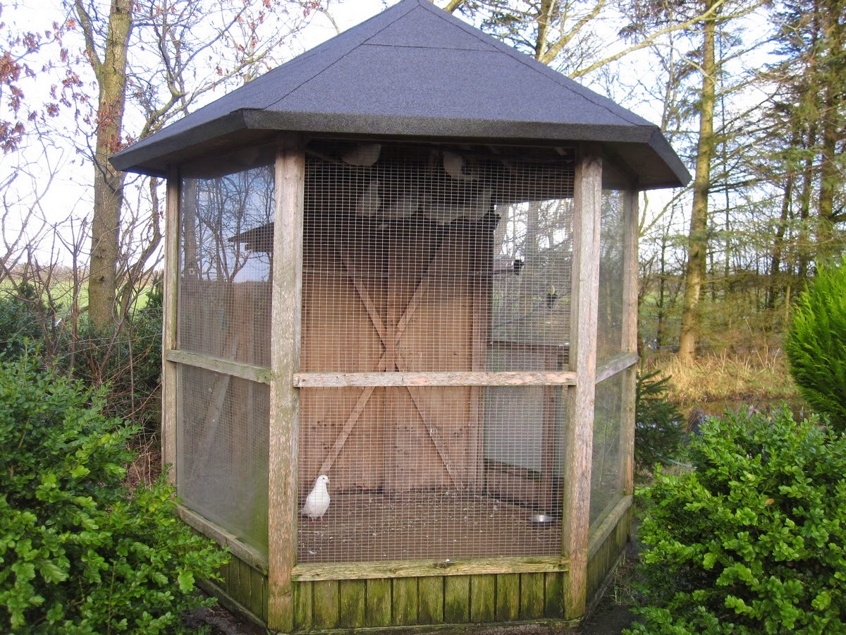 Ingeborg´s Haveblog: Fuglehuset blev til dueslag