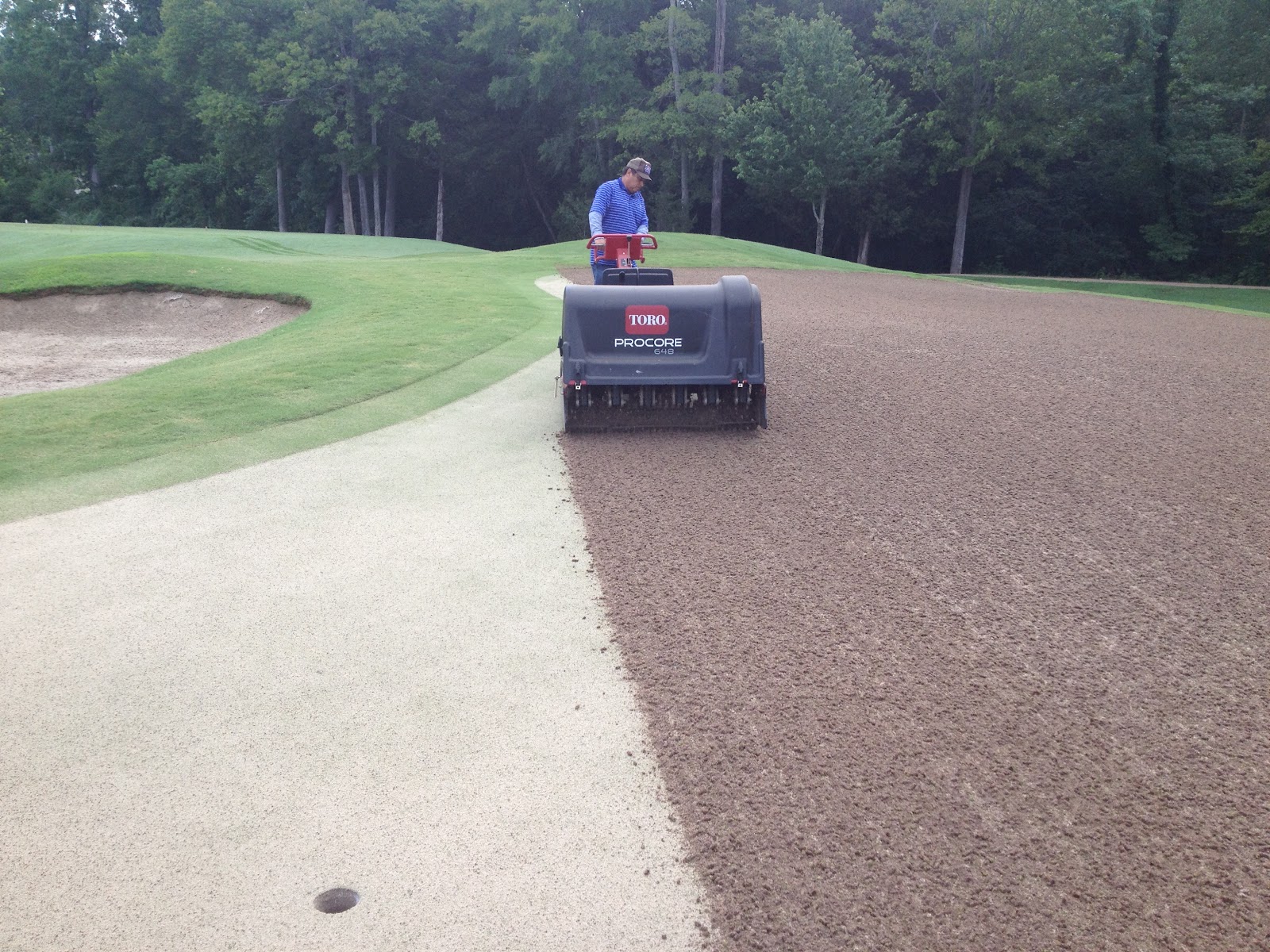 Hollytree Country Club Golf Course Maintenance: Greens Aerification