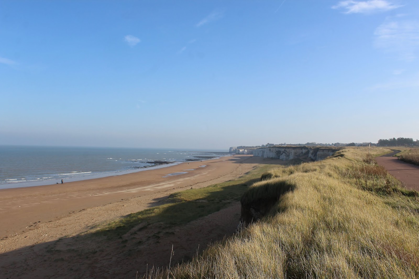 Randon's Ramblings : SUCH A PERFECT DAY