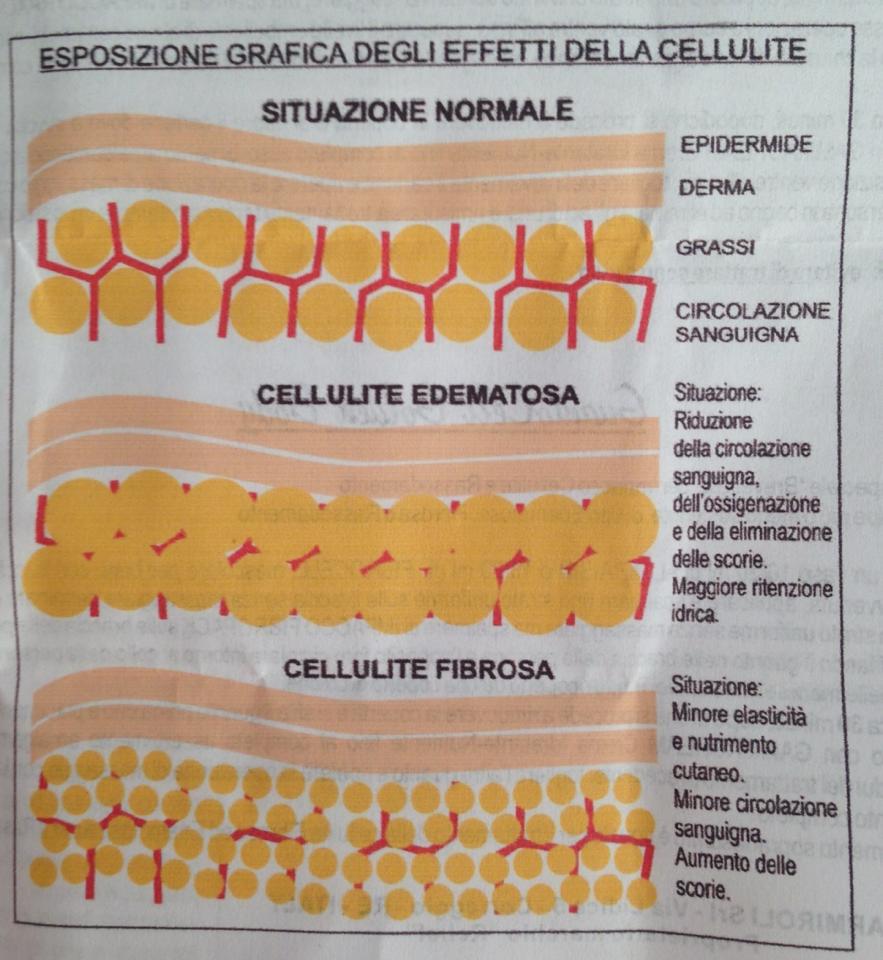 Tendenze // Mαкє Uρ {[e nøn sølø]}: RELIEF Biocosmesi contro la cellulite