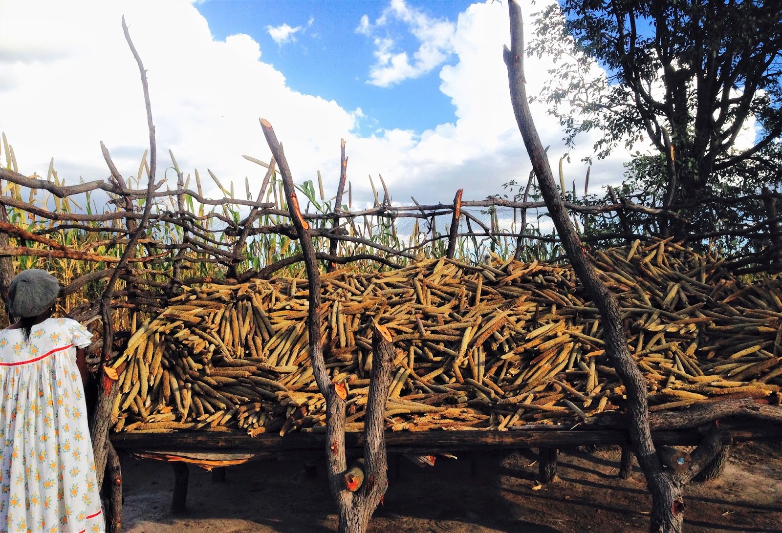 Nela's Travel Notes: Holidays at Ongha yaNaghonda Village