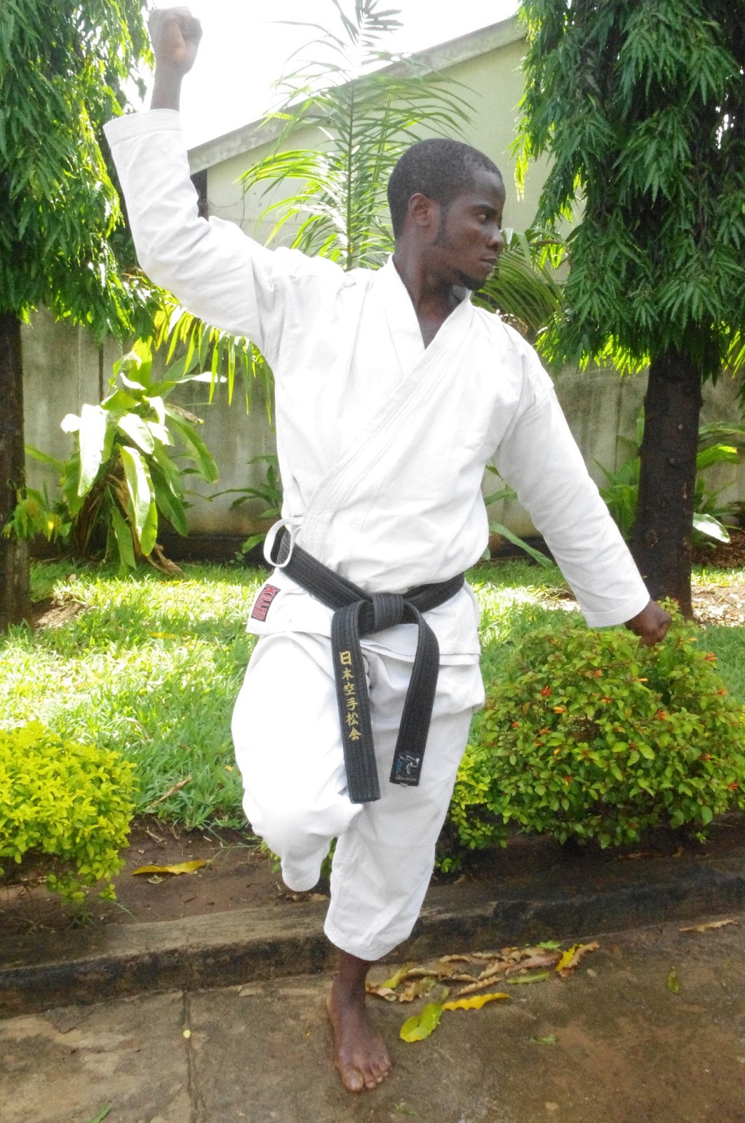 Karate Terminology - THE BLACK SAMURAI
