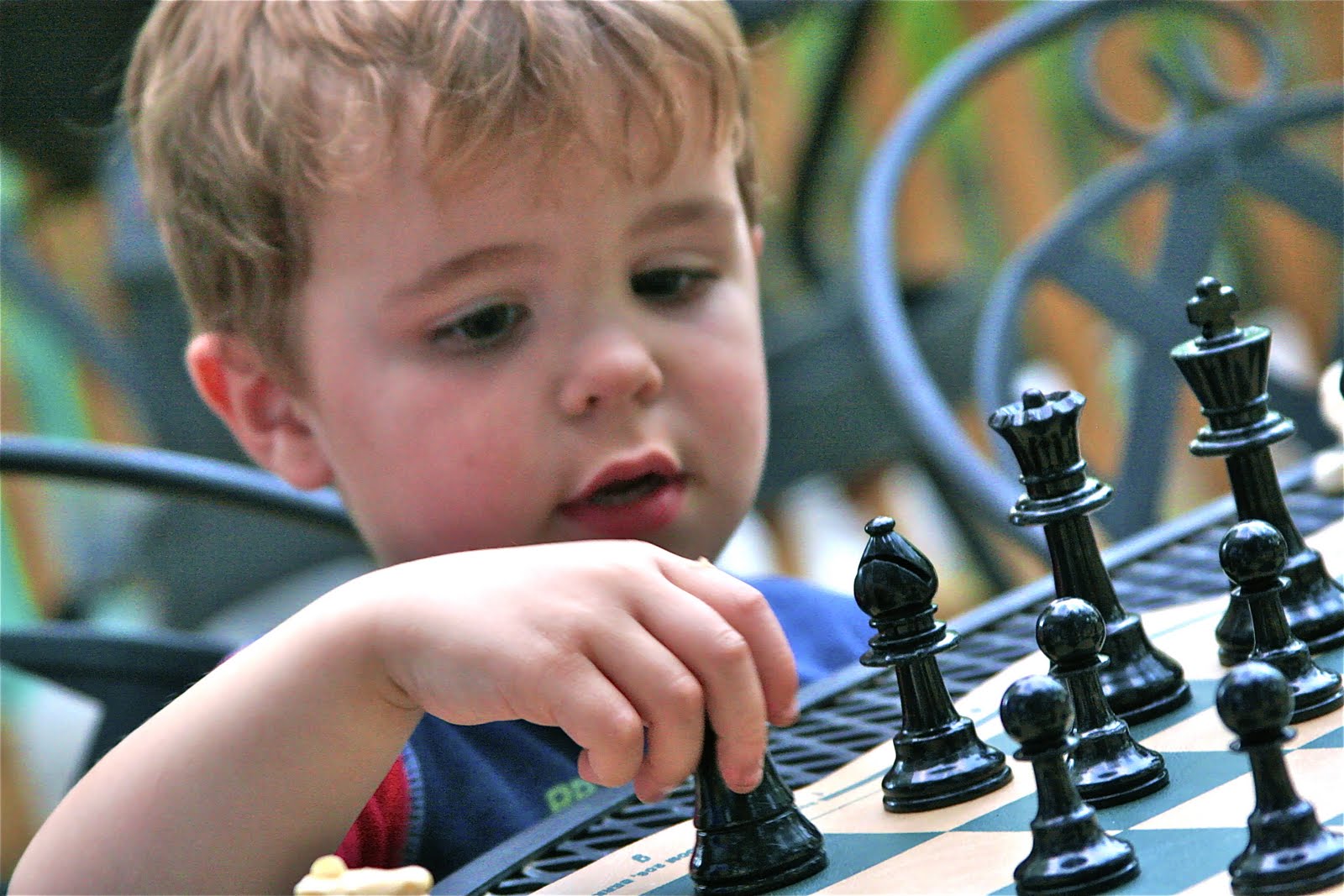 grass stains: Chessmaster