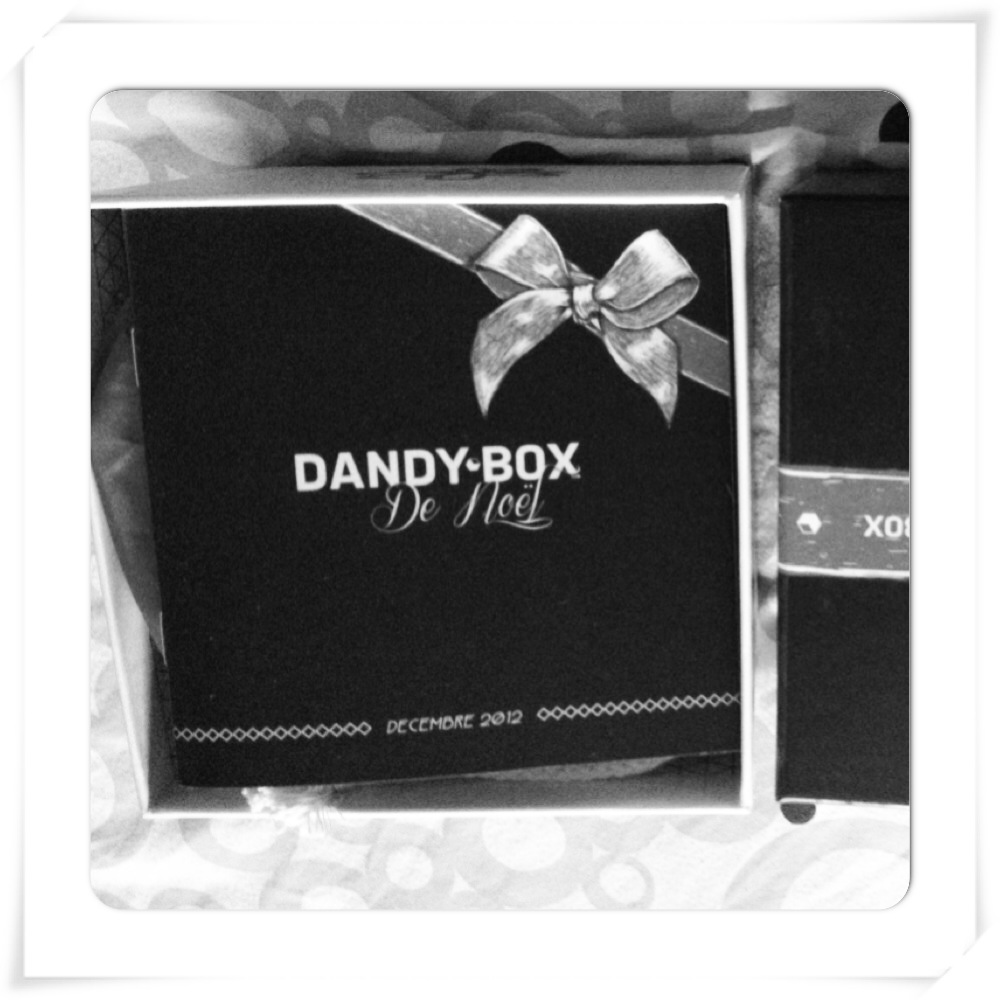 The DaNdY bOx