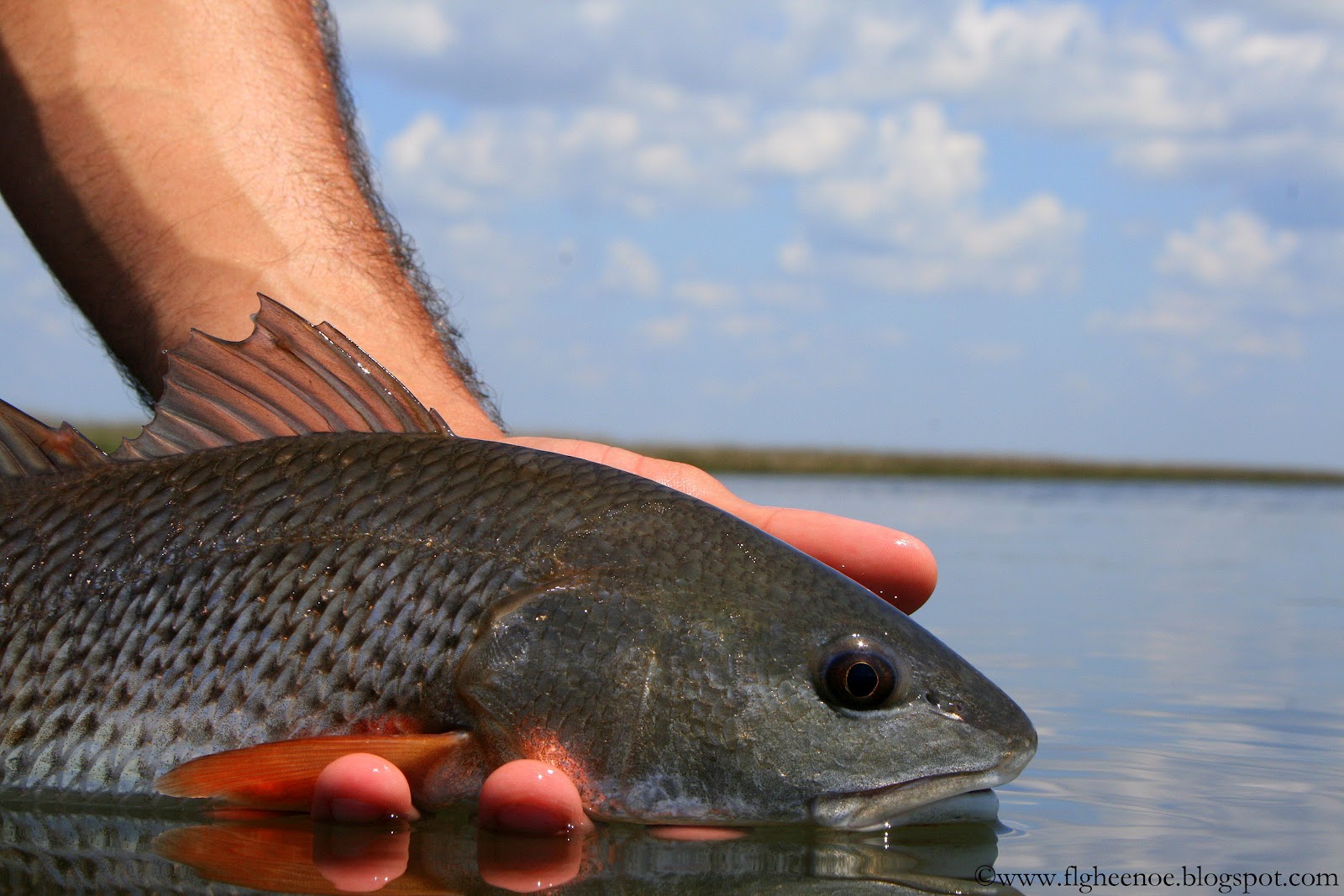 Florida Gheenoe Fishing: April Fools in the Bayou