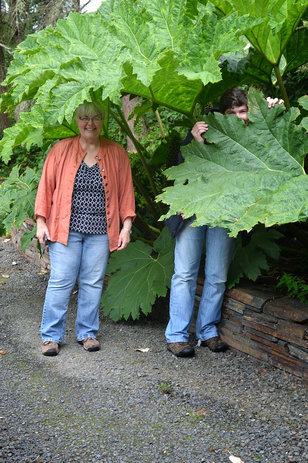 The Outlaw Gardener: Visiting Dragonfly Farms and Celestial Dream Gardens