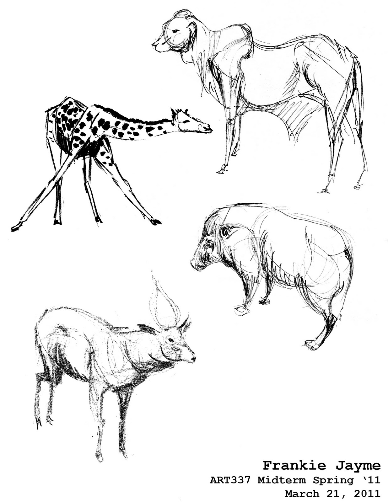 Frankie Jayme: ART 337 - Animal & Wildlife Drawings