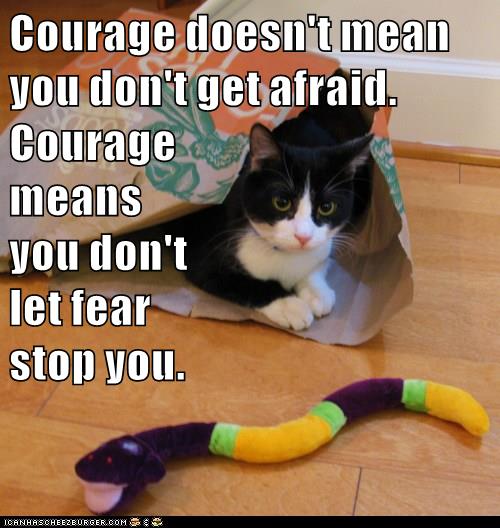 Growth Mindset & Feedback Cats: Courage means you don't let fear stop you.