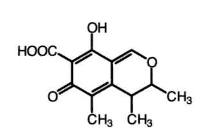 FOOD SAFETY: Citrinin